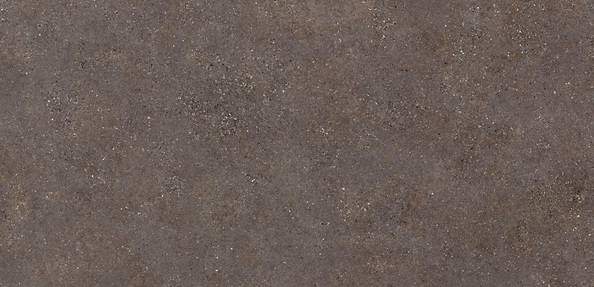 Fusion – NEOLITH HUNGARY